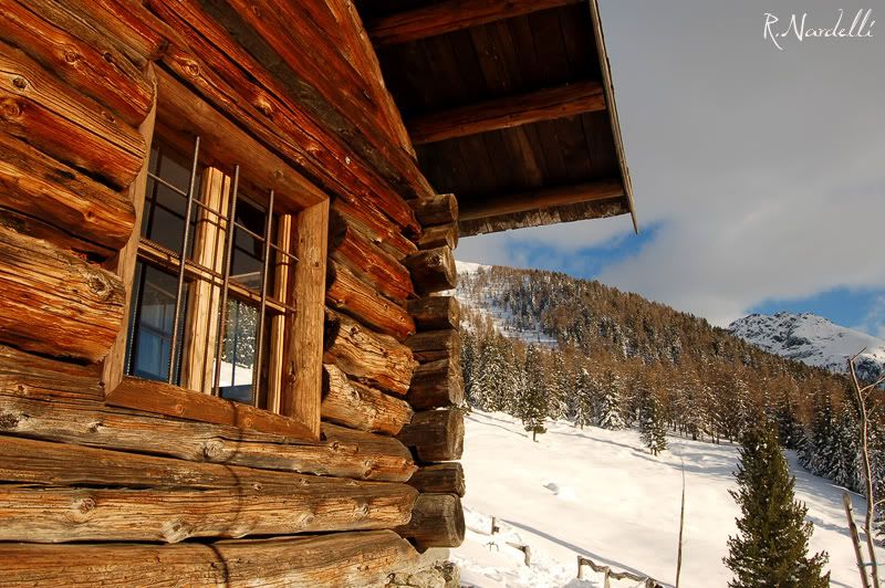 Alcuni scatti dell'inverno appena passato.. Alcuni scatti dell'inverno appena passato..